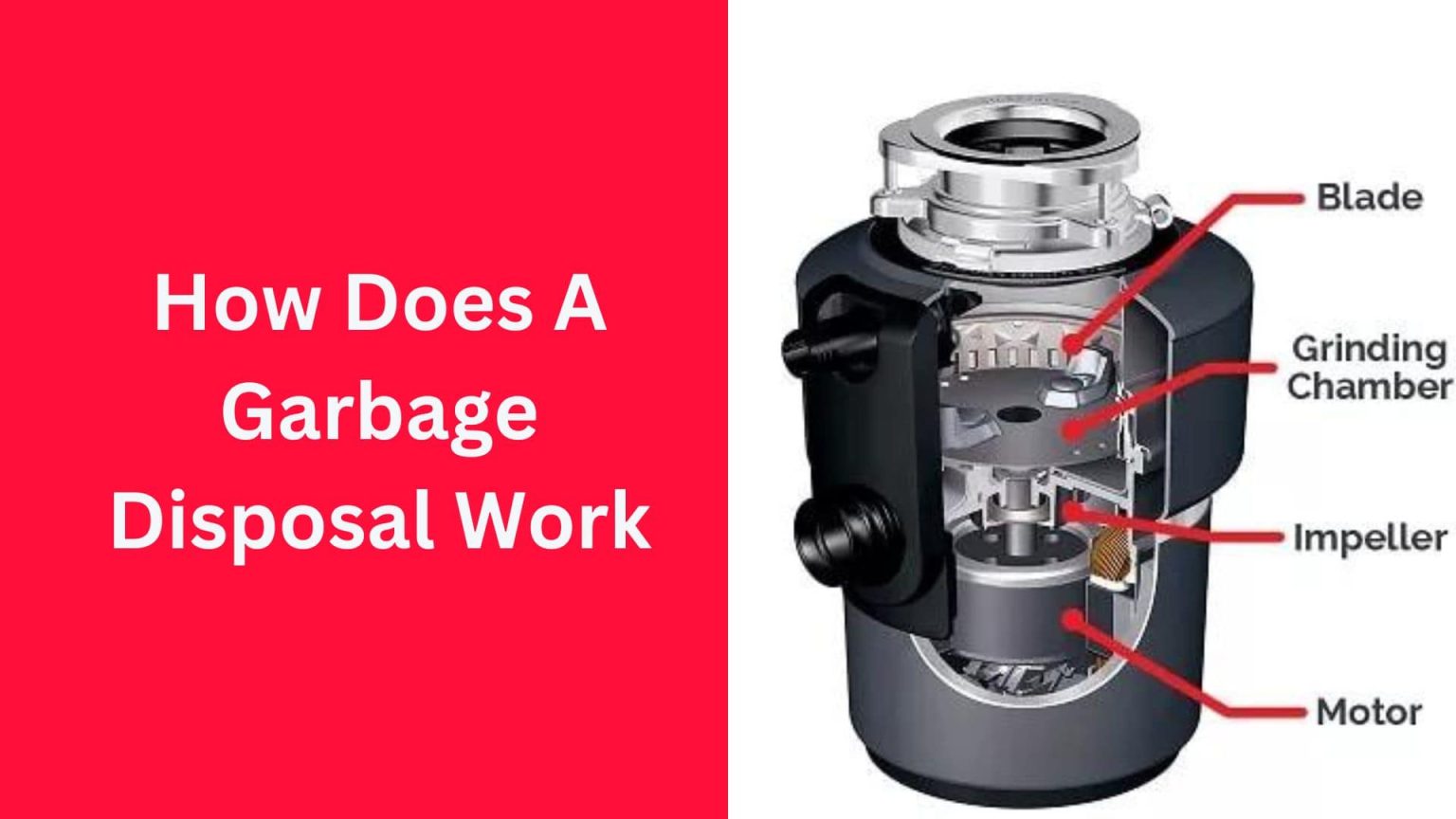 Garbage Disposal Splash Guards: The Complete Guide