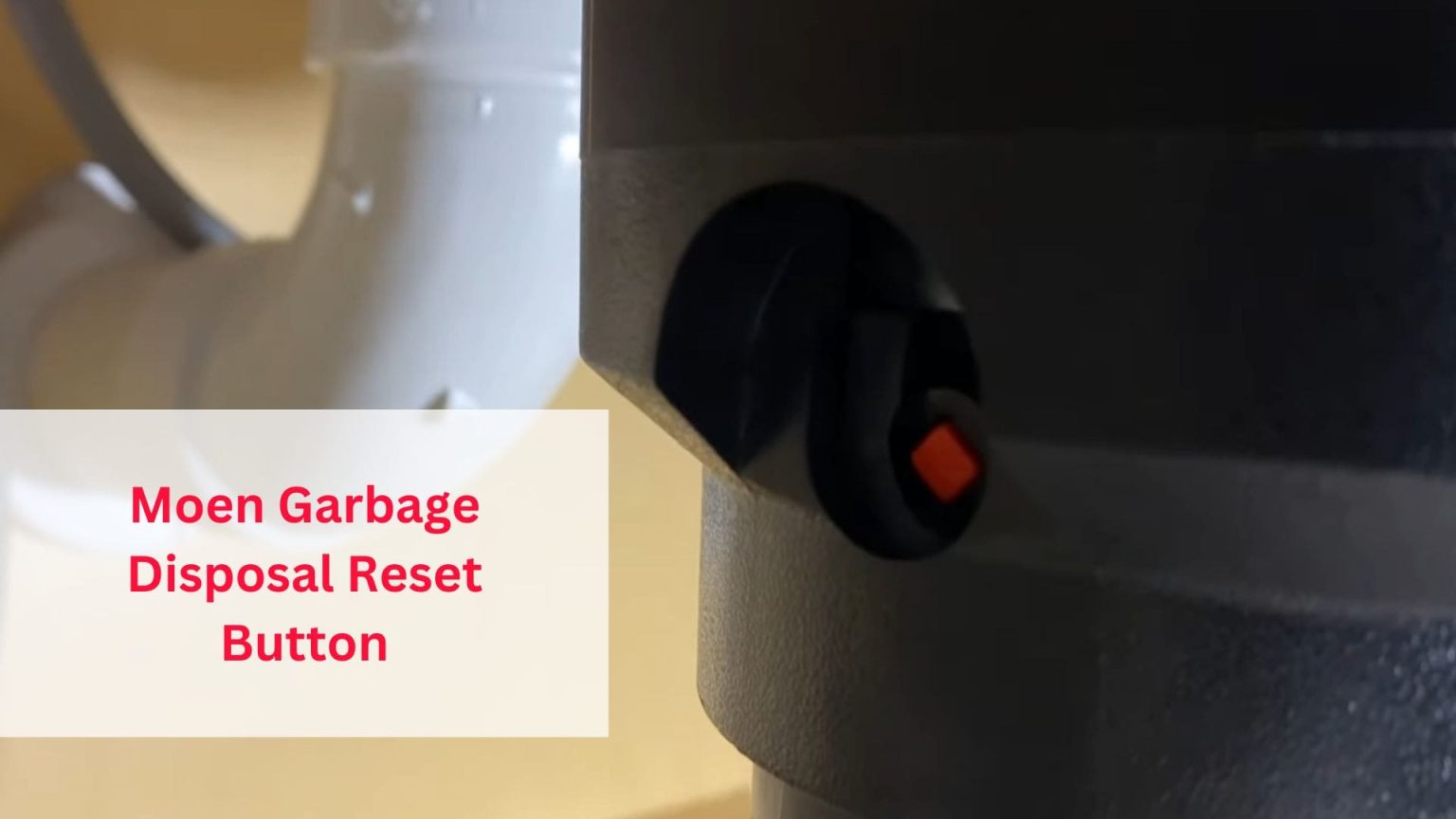 Moen Garbage Disposal Won't Turn On: Reasons & Solutions - Fix The Disposal